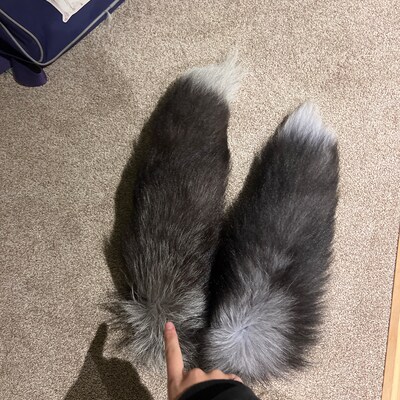 Finnish Silver Fox Furry Silver Fox Silver Fox Pelt Fox - Etsy
