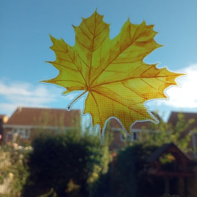 Autumn Leaves Window Stickers, Autumnal Leaves Window Sticker, Autumn ...