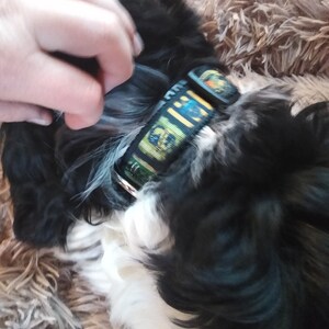 Wizarding Dog Collar, Wizard House Dog Collar, Magic Dog Collar, HP Dog ...