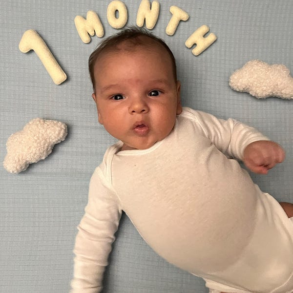 Baby Milestone Numbers Set, Baby Monthly and Weekly Milestone Numbers ...