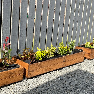 Charles Taylor 3 Piece Wooden Veg Trough Planter Set. - Etsy UK