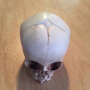 Bronze Leviathan Cross Mask - Etsy