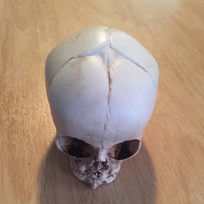 Bronze Leviathan Cross Mask - Etsy