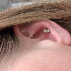 Triple Stacked Conch Hoop Clicker With Twist Gold Conch - Etsy