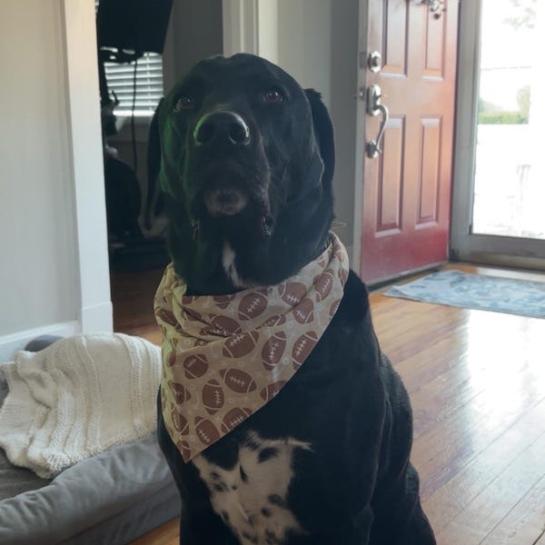 Blitz Football Dog Bandana - Etsy