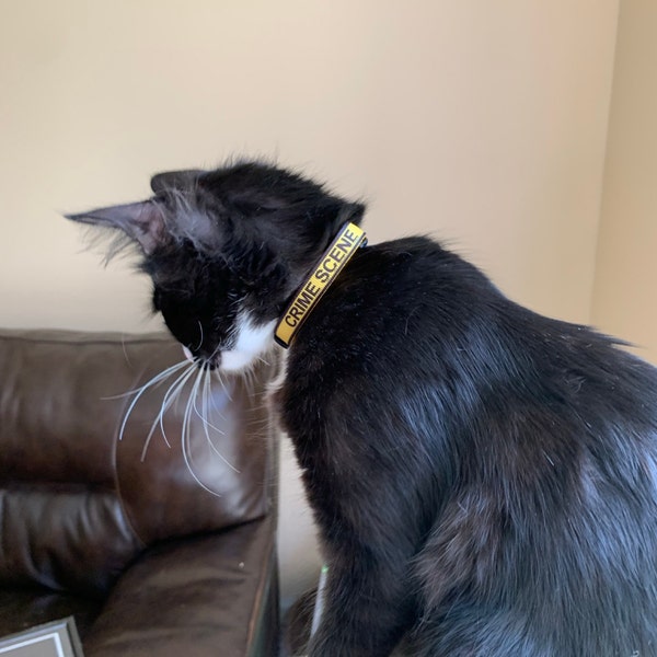 Crime Scene Halloween Breakaway Cat Collar - Etsy