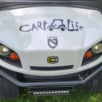 Golf Cart Vinyl Decals Cart Life This is How We Roll - Etsy