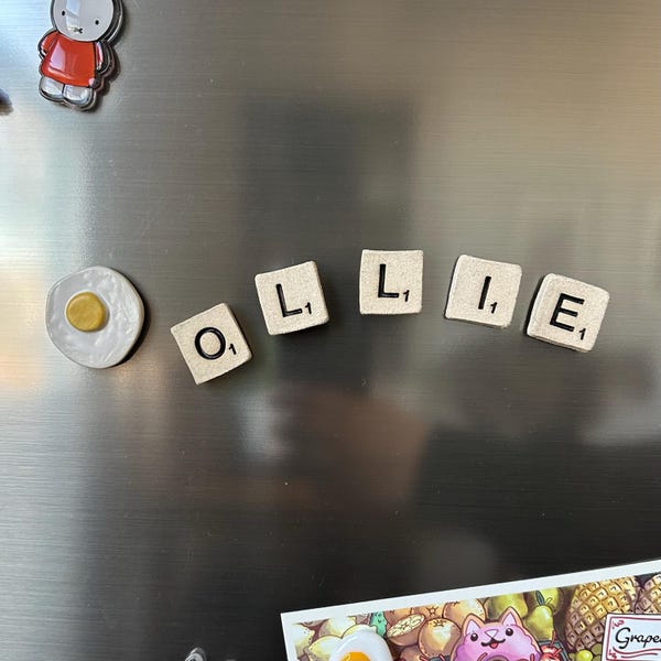 Ceramic Magnet, Ceramic Fruit, Food Magnet, Clay Magnets, Fridge ...