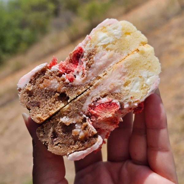 The Ice Cream Collection (2)/cookie Recipes/fried Ice Cream/neapolitan ...