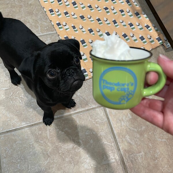 Reusable Pup Cup Custom Puppuccino Mug Dog Mom Gift 2oz Personalized ...