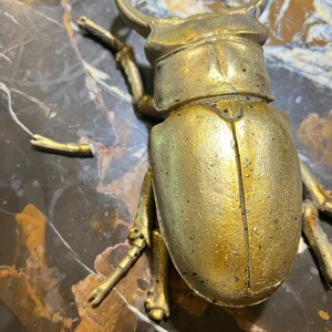 23cm Large Stag Beetle Wall Art Wall Hanging Bug Insects Ornament Wall ...