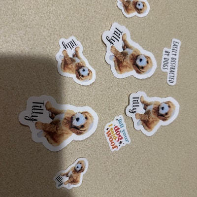 Instagram Name Sticker, Social Media Sticker, Instagram Sticker, User ...