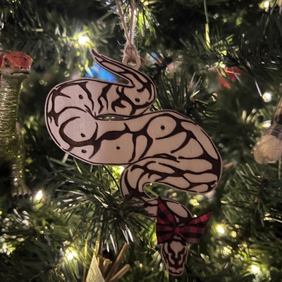 Centipede Scolopendra Centipedes Invertebrates Arthropod Chilopoda Drop ...