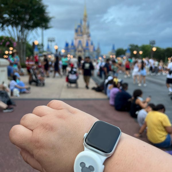 Magic Band 2 / FLEXIBLE / Puck Holder Watch Slider / Fast Pass / Puck ...