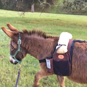 Miniature Horse and Donkey Backpacks Custom Patches and Accessories - Etsy