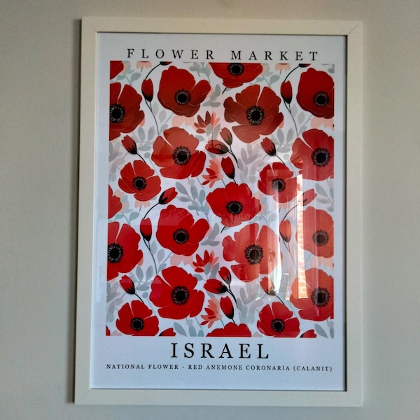 Israel National Flower - Red Anemone Coronaria Wall Art Print Flower ...
