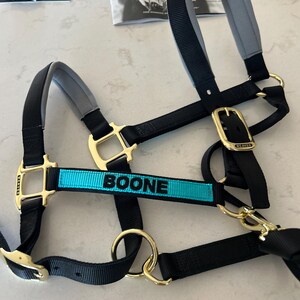 Personalized Nylon Sheep Halter - Etsy