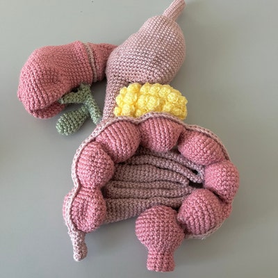 Digestive System Crochet English Ebook - Etsy
