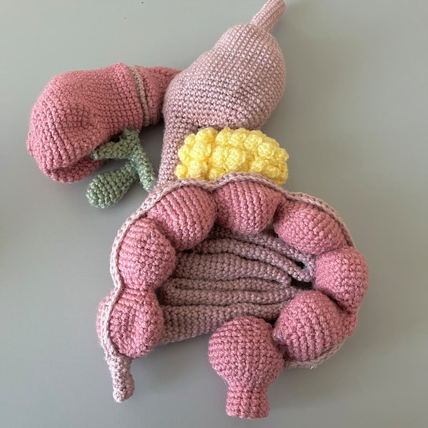 Digestive System Crochet English Ebook (PDF File) - Etsy