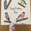Illustrated Garden Birds Birthday Card Bird Watching Card Wildlife Card ...