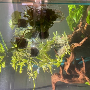 DIY Self Cleaning Conversion Kit for Anchor Hocking 2 Gallon - Etsy