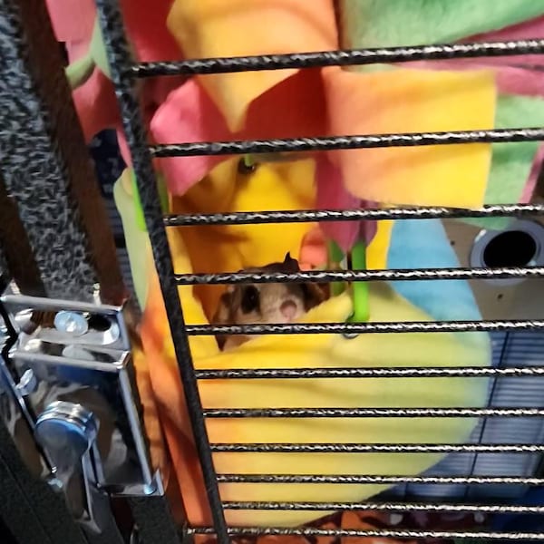 Snuggle Ball Pit; Large Fleece Reversible Hanging Pouch, Includes 4 ...