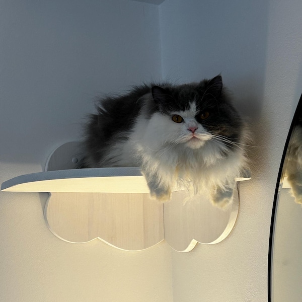Cloud Cat Corner Shelf With Pillow, Cat Shelves, Cat Furniture, Wall ...