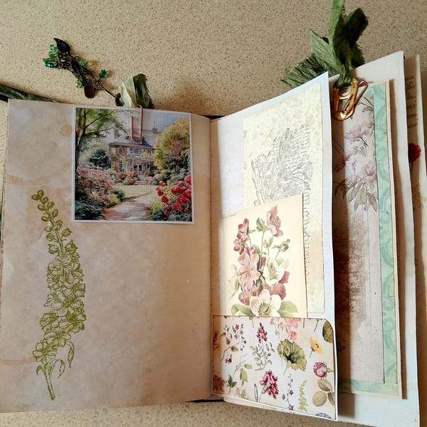 Insect Junk Journal Specimen Kit Entomology Specimen Digital Insect ...