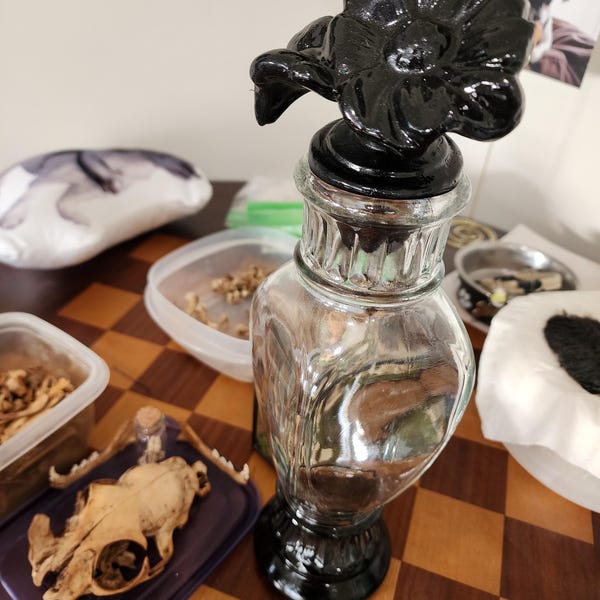 Deathtaxusa 78 SCRAPS Venomous Timber Rattlesnake Rattler Serpent Skin ...