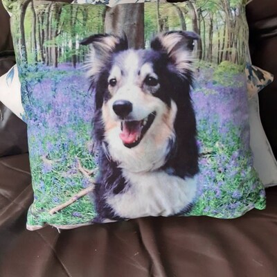 Pets Personalised Cushion Pet Memorial Pet Loss Gift Dog - Etsy UK