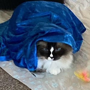 Deluxe Star Galaxy Wars Jedi Robe Costume Collection sith, Yoda, Knight ...