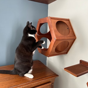 Corner Cat Shelf With Pillow Cat Corner Wall Bed Corne Cat Shelf for ...