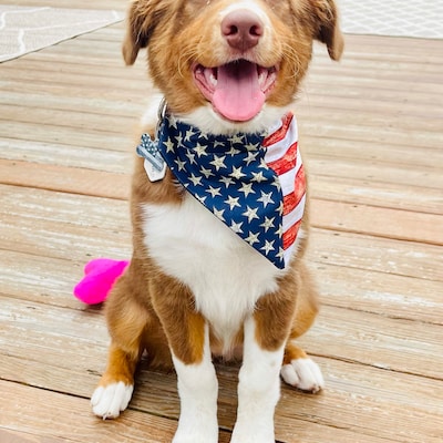 American Flag Dog Bandana, Slides Over the Collar, Cat Bandana, Dog ...