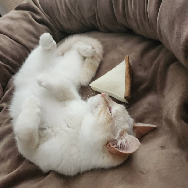 Corn Dog Cat Toy - Etsy