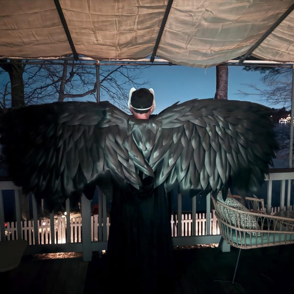 Wings for Photo Booth Angel Wings for Backdrop, White Wings, Selfie ...
