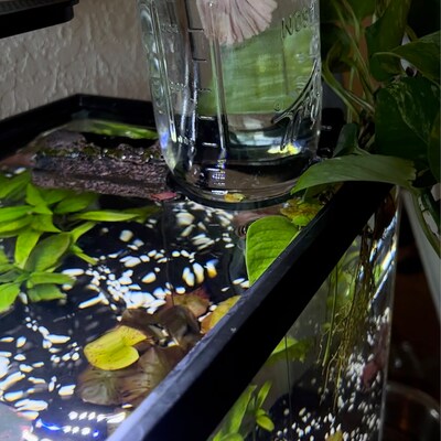 Aquarium Inverted Tank Holder / Betta Penthouse - Etsy