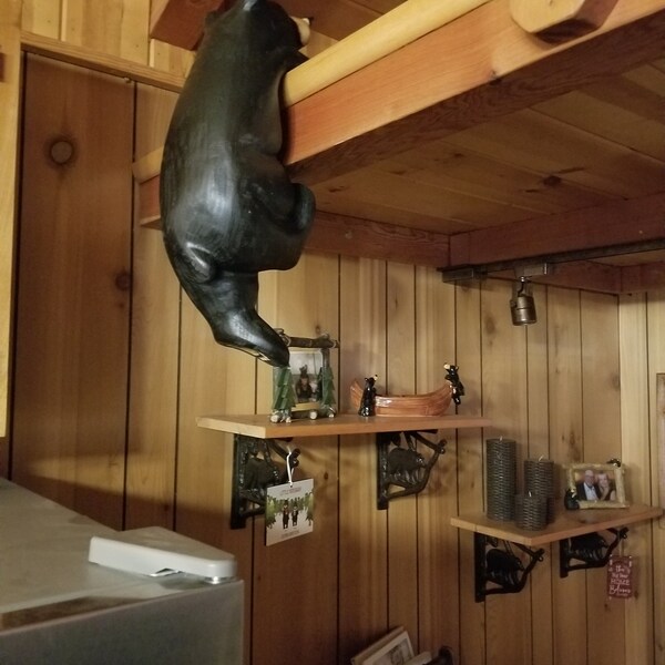 Marley Rail Bear - Etsy