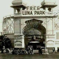 5 Pc 10 Cm Big- Indian Origin Desi COW DUNG CAKE Gobar Upale Kande 180 ...