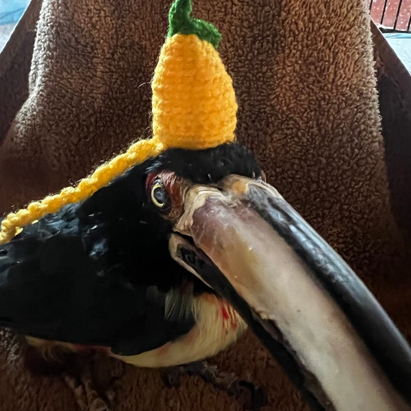 Tiny Reptile Hat, Hat for Hamster, Small Lizard Hat, Clothes for Pets ...