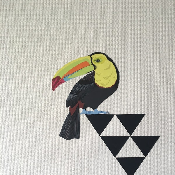 Toucan Wall Decals - Etsy