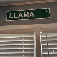 Llama, Llama Gift, Llama Sign, Llama Decor, Llama Lover, Pack Animal ...