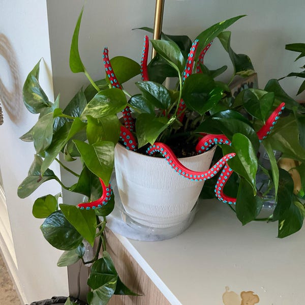 Octopus Tentacles Planter Decorations - Set of 8. House Plant Decor - Etsy
