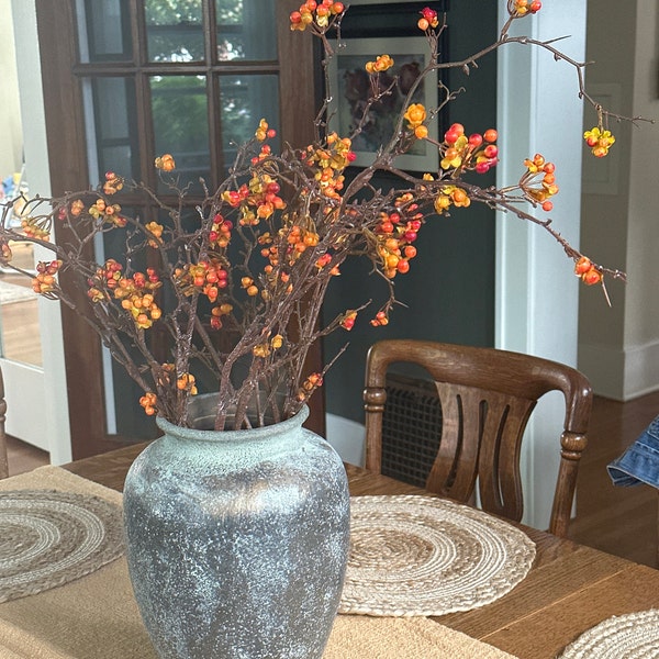 Quality Bittersweet Stem With Fruit, Artificial Small Berry Branch ...