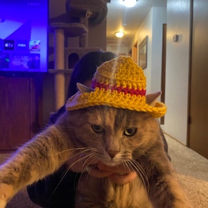 Anime Crochet Straw Cat Hat - Etsy