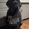 Big Dog Slobber Bib This is What Handsome Looks Like - Etsy