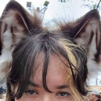 Handmade Realistic Wolf Ears and Tail Set Cosplay,faux Fur Werewolf Ear ...