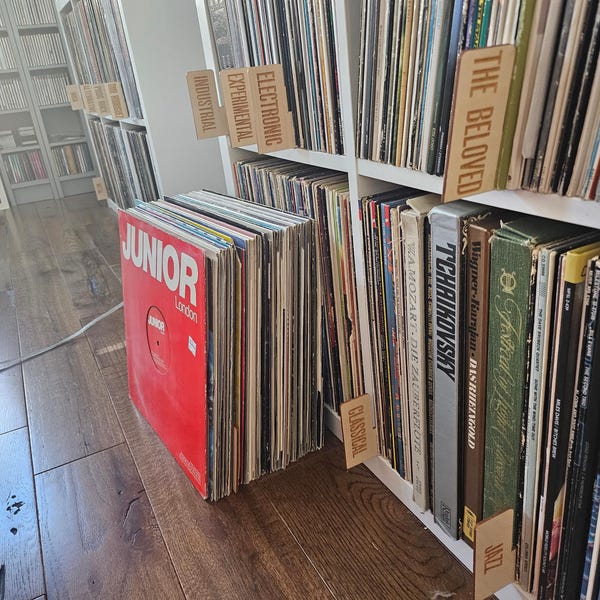 Book Shelf Dividers, Eco Friendly Book Organizers, Both Sides Book ...
