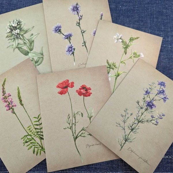 Watercolor Vintage Botanical Floral Wildflower Notecards - 12 Card Gift ...