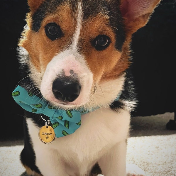 Stacked Dog Id / Dog Name Tag/ Puppy Tag / Custom Pet Tags / Hand ...