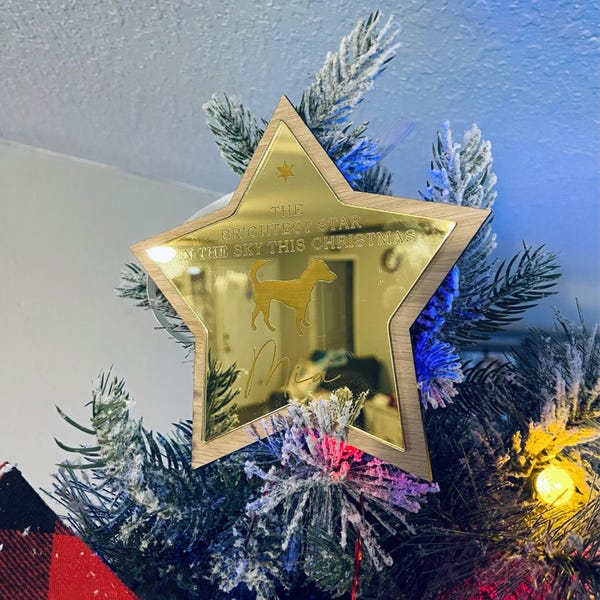 Personalised Tarantula Christmas Decoration, Custom Tarantula Christmas ...